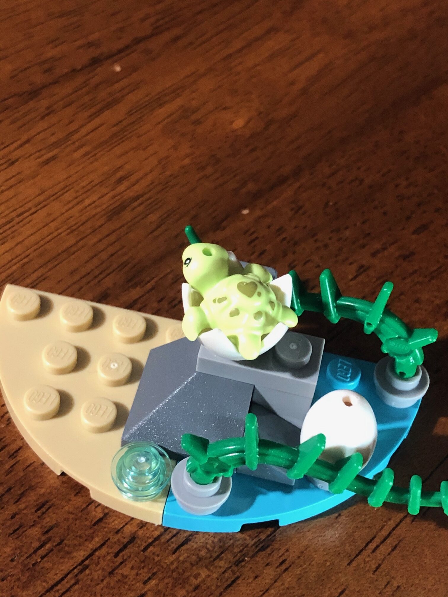 LEGO Friends Turtle Rescue Mission (41367) Build – Don Manuel Presents Shop